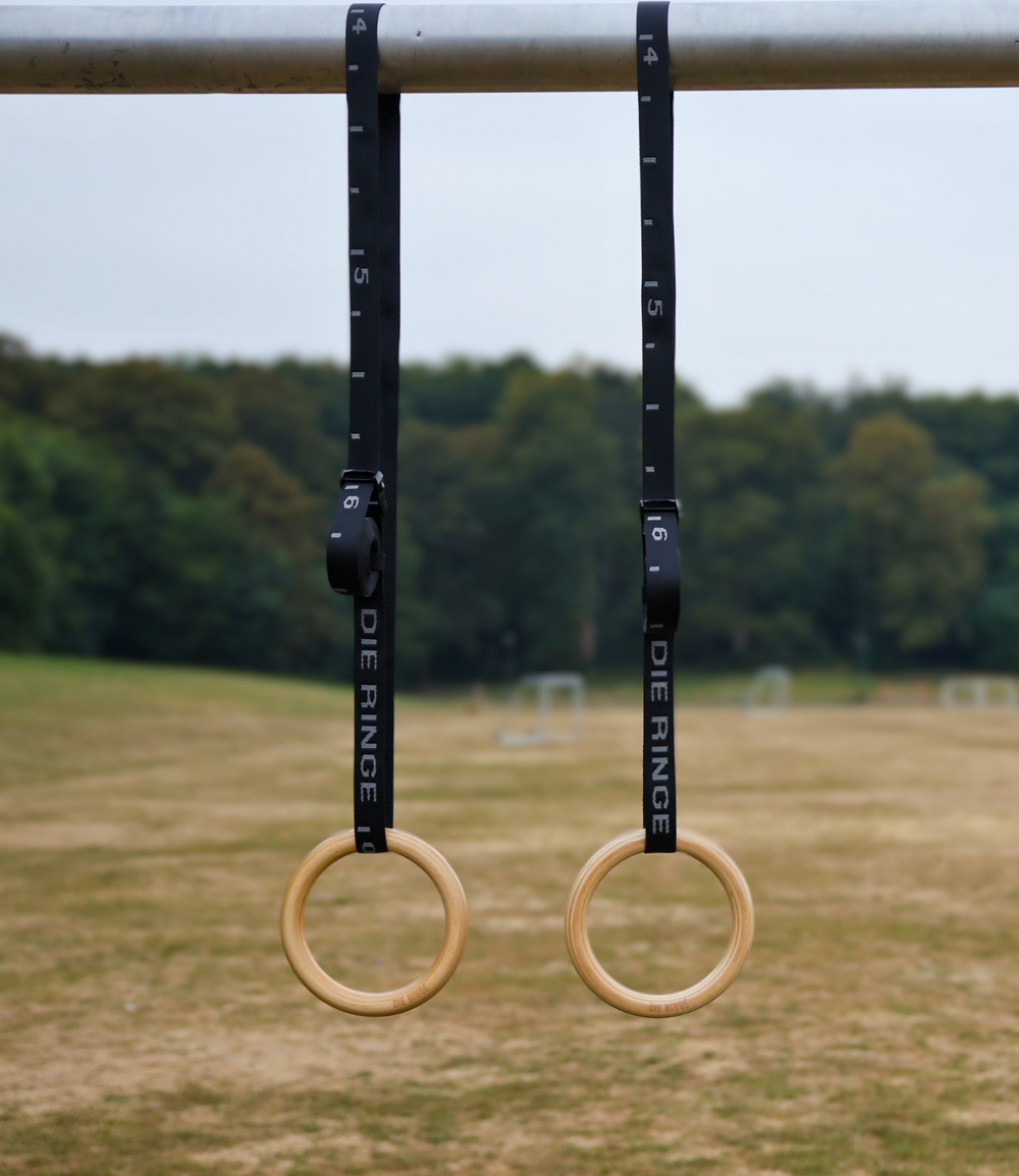 Gymnastic Rings